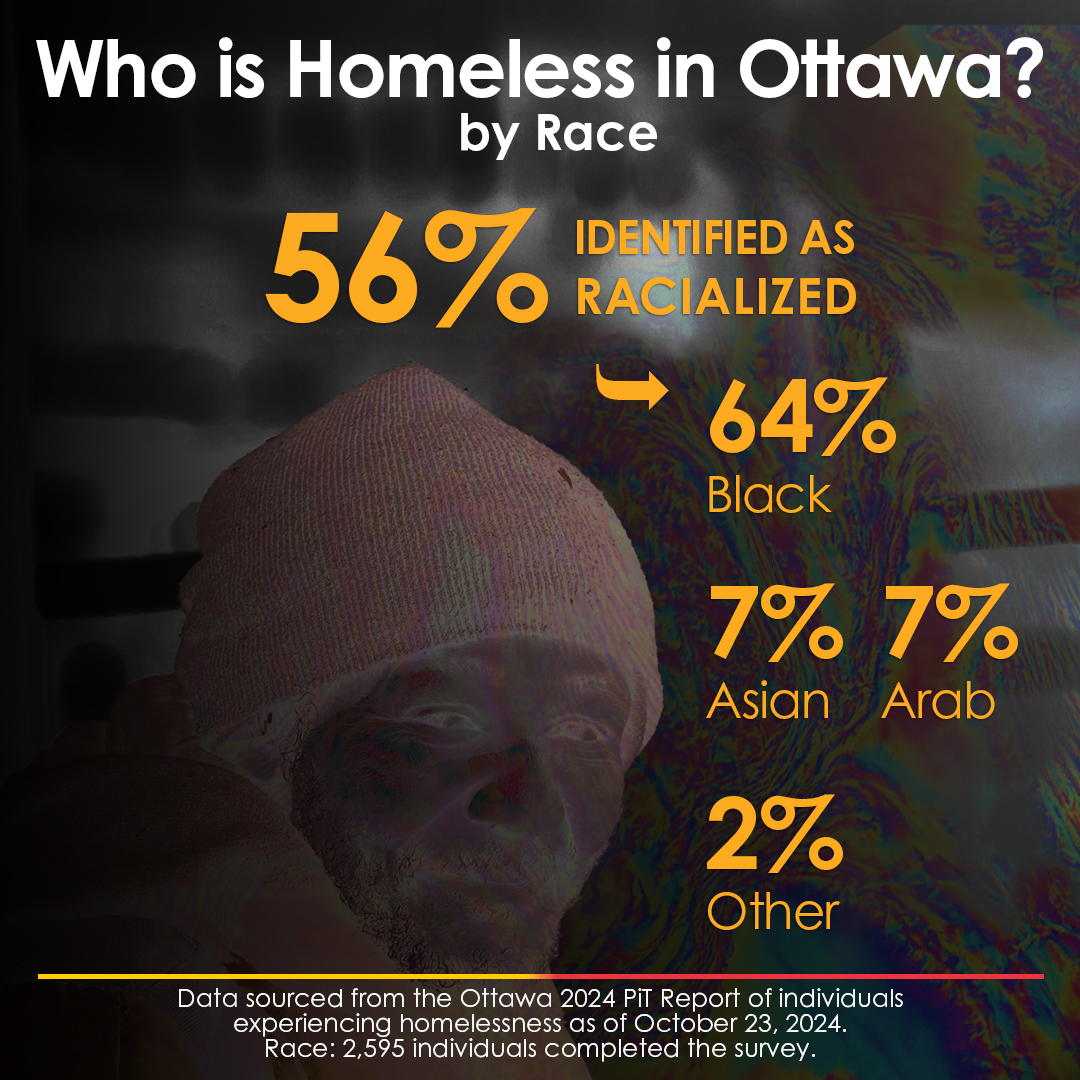 7 Striking Infographics on Homelessness in Ottawa: Powerful Data with a ...